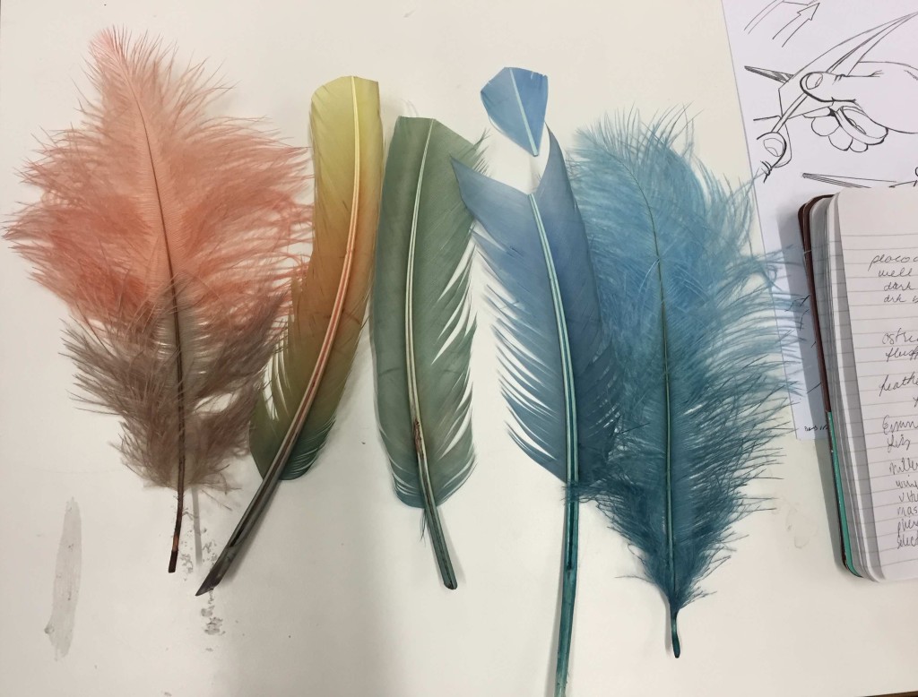 feathers – Hattin' Around & Leanne Fredrick Millinery